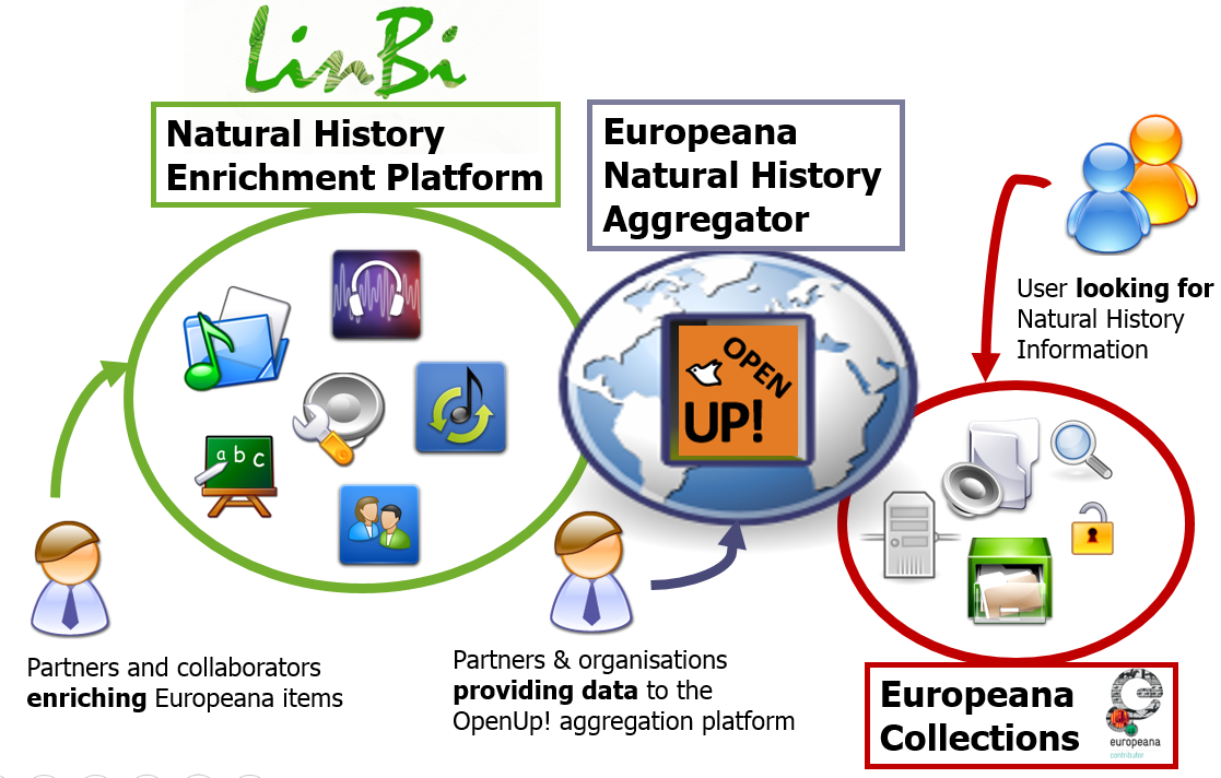 LinBi – Linking Biodiversity and Culture Information